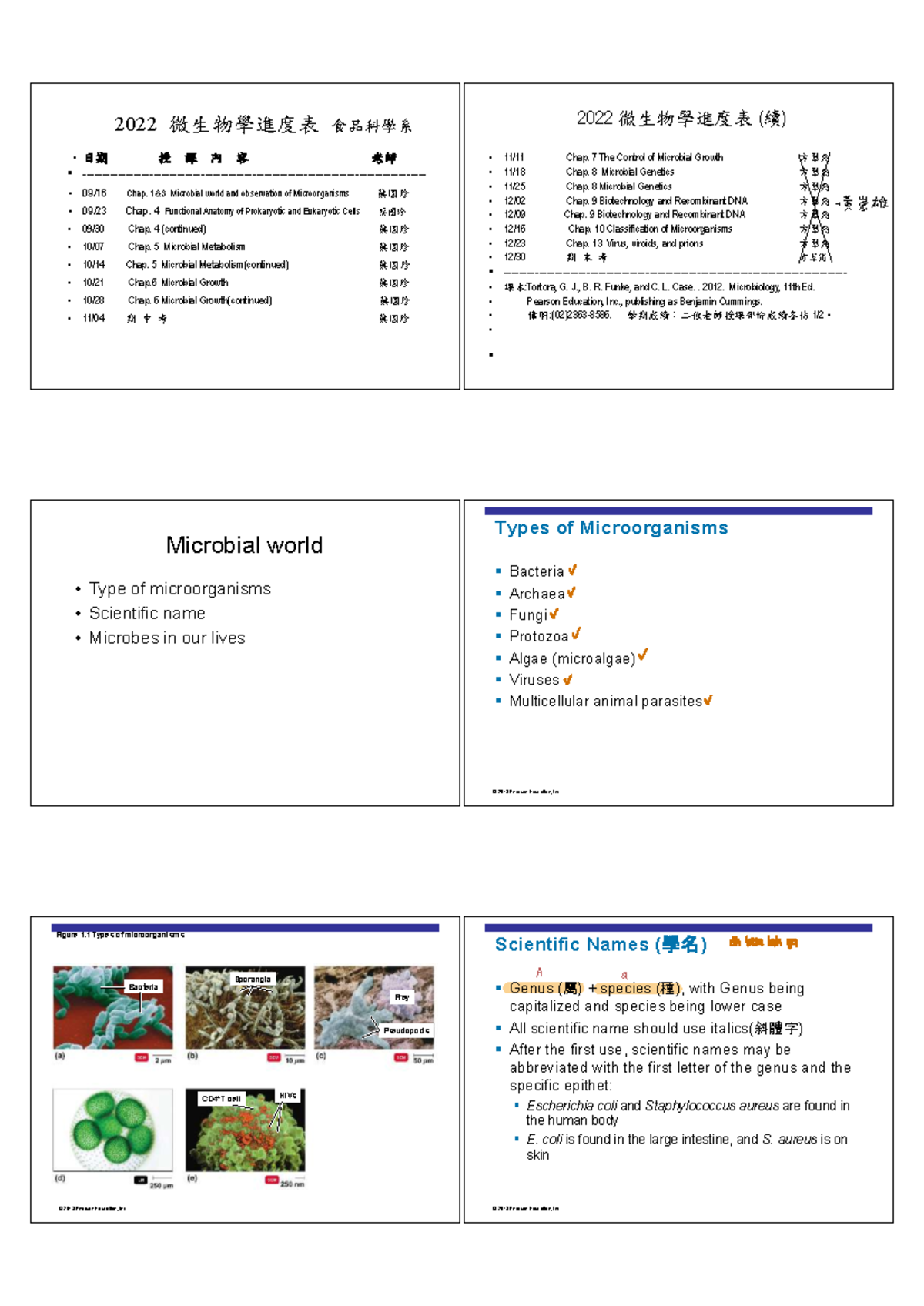 Ch 03 - Microbiology: Microbial World, Anatomy, and Growth Insights ...