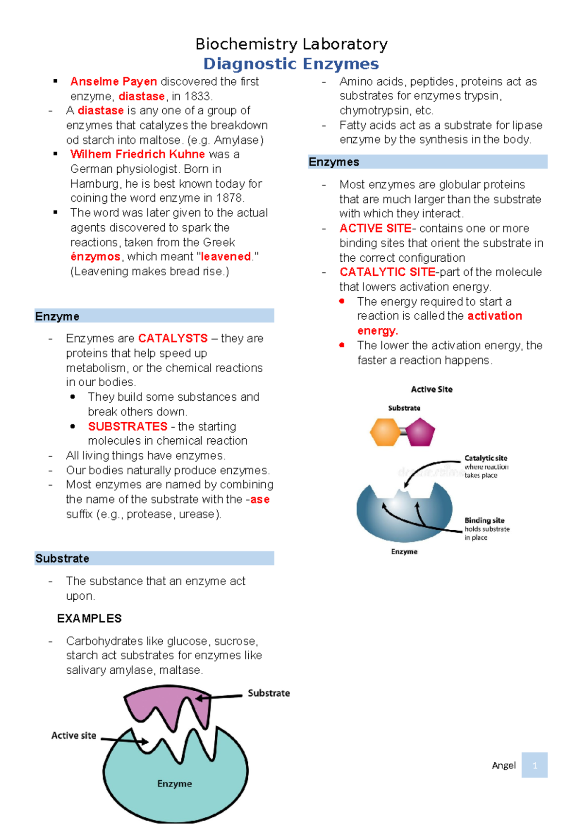 Diagnostic Enzymes: Functions, Mechanisms, and Clinical Significance ...
