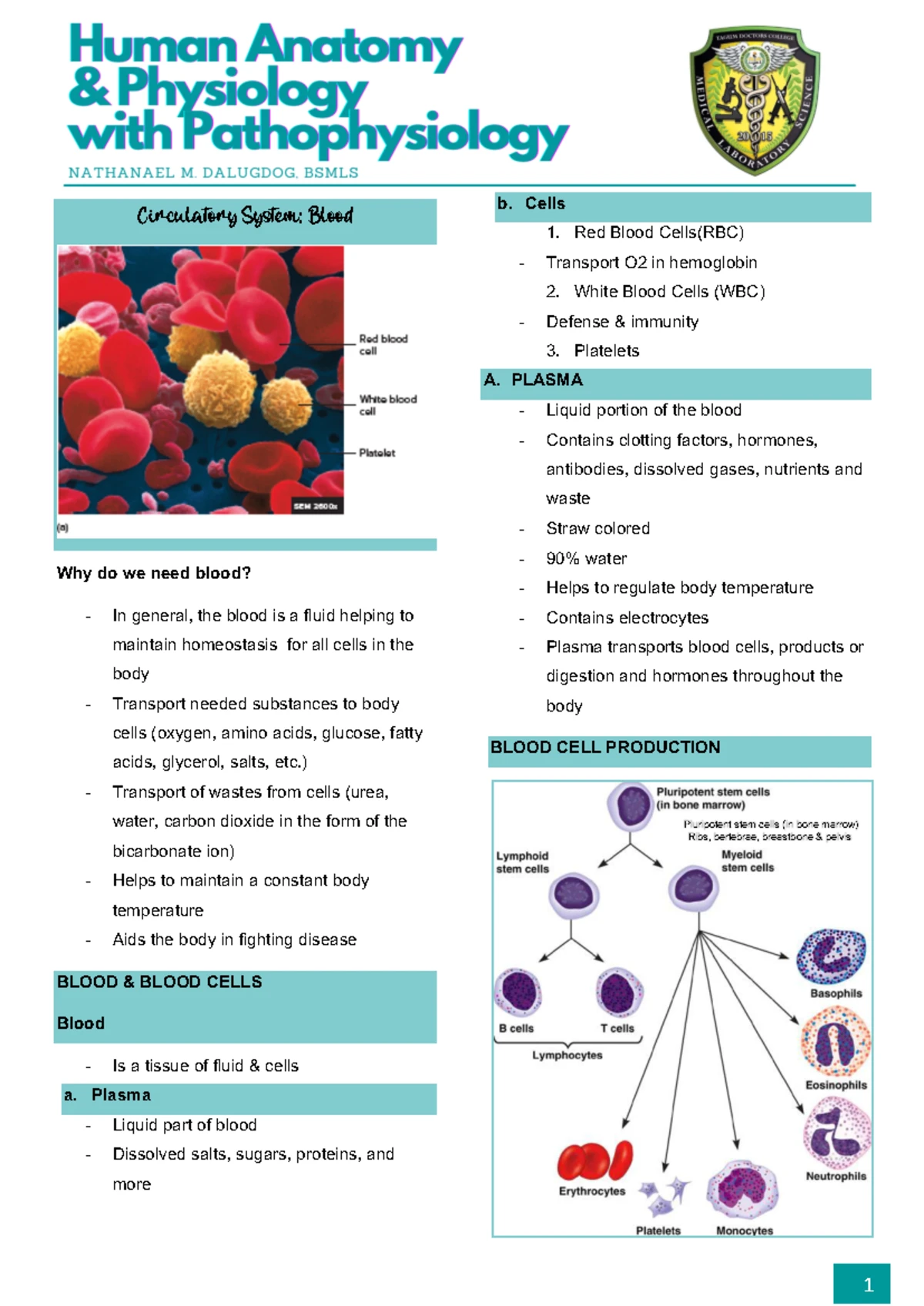 ANATOMY AND PHYSIOLOGY WITH PATHOPHYSIOLOGY- Nervous System (notes ...