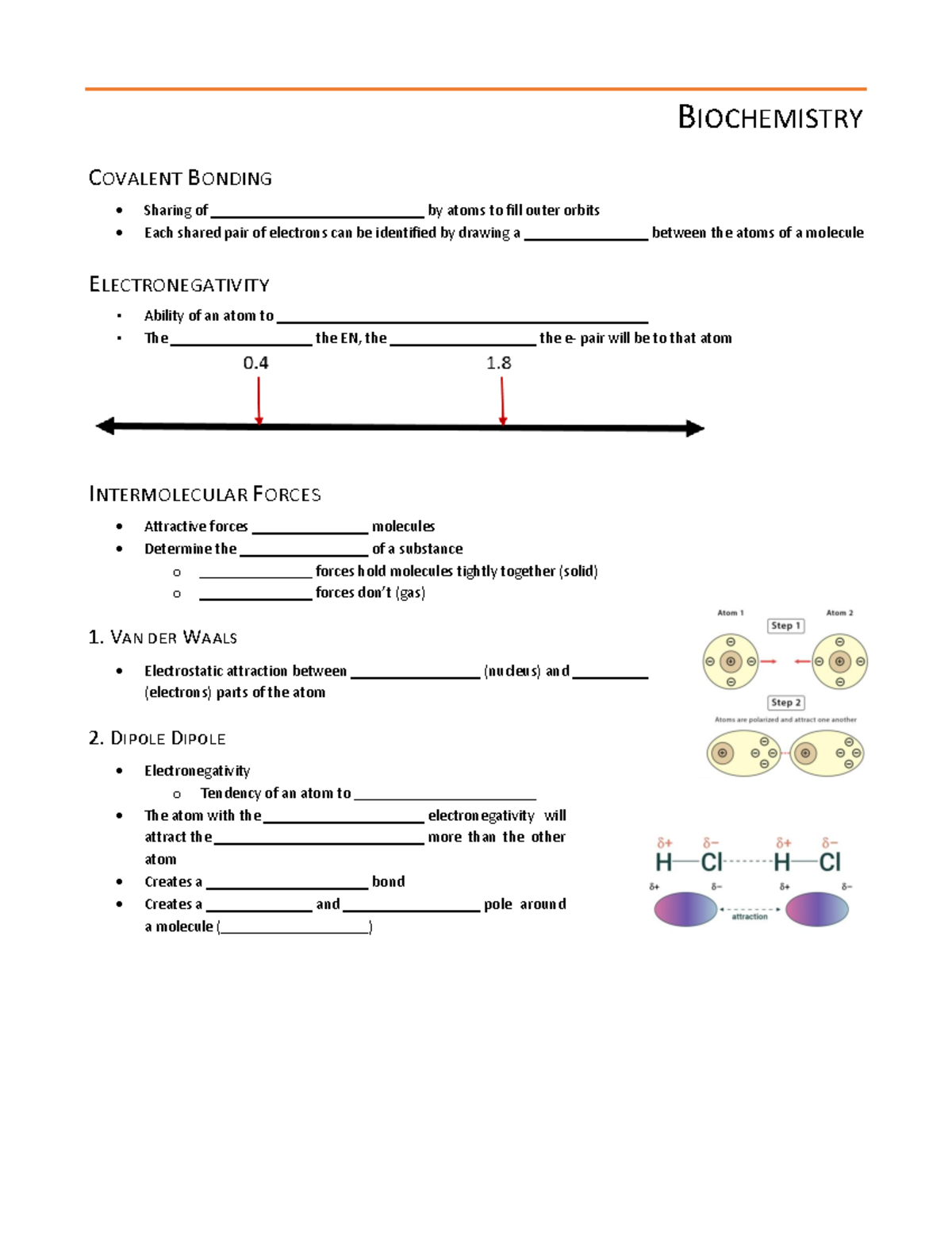 BIOCHEMISTRY WS: Covalent Bonding, Intermolecular Forces & Enzymes ...