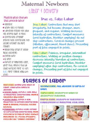 NITM Labor Delivery Clinicals Cheat Sheet 4 c38ec2b8-63e0-4698-a12e ...