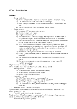AGHE meal plan table students - Sample meal plan for food group ...