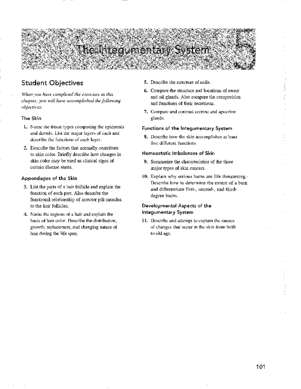 Comprehensive Study Guide for Course XYZ: Integumentary System Exam ...