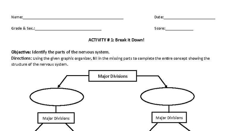 Nervous System Activity - Name ...