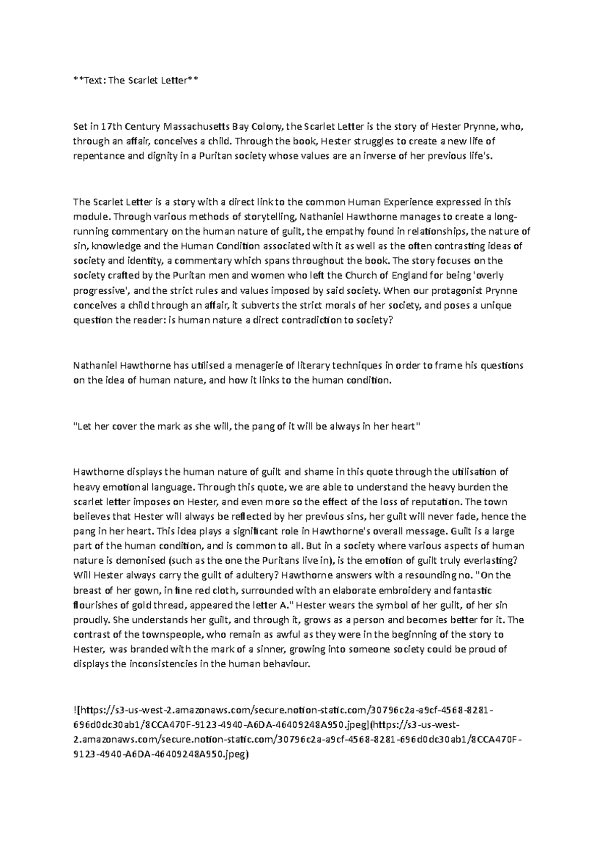 Scarlet Letter Analysis Homework Comparison - English ADV HSC - Studocu