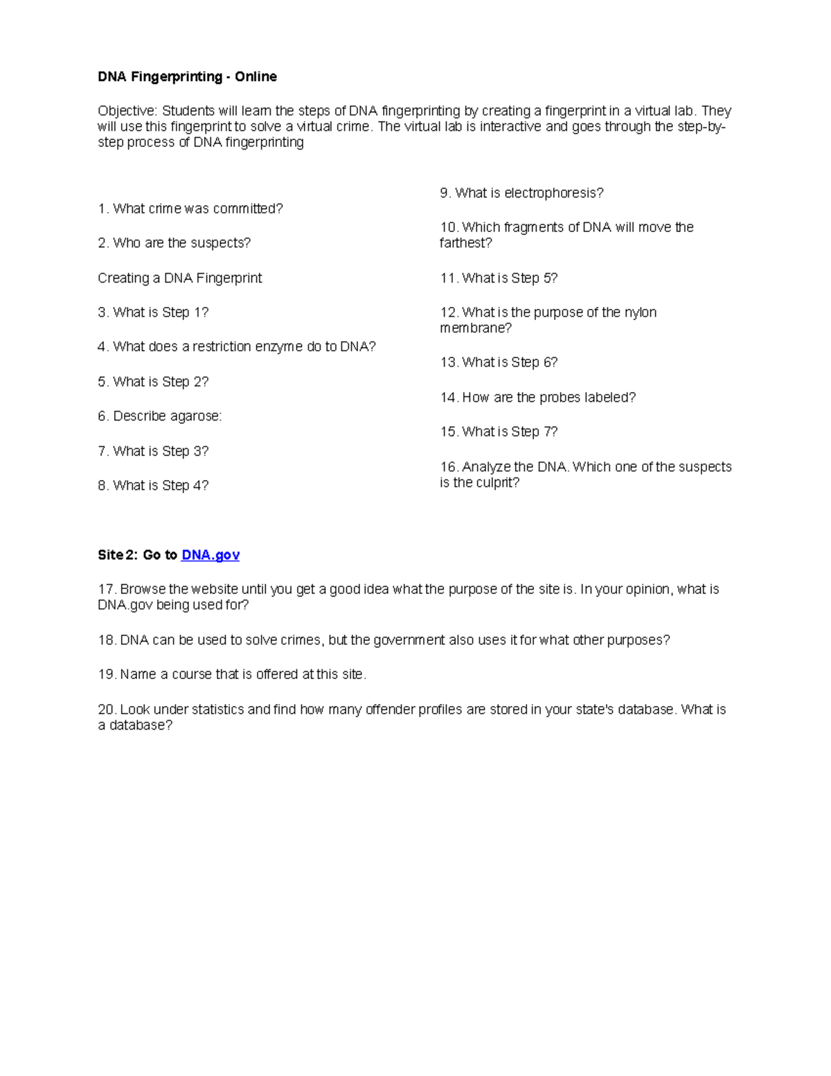 DNA Fingerprinting Online: Virtual Lab Steps & Crime Solving - Studocu