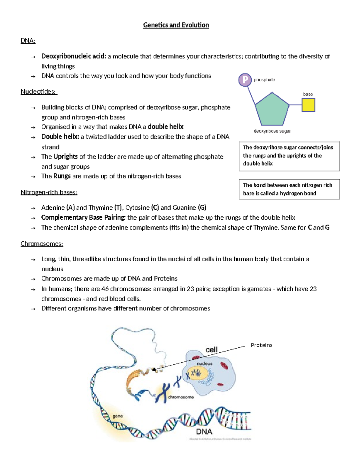 DNA and genetics - notes for any moduleeeeeeeeeeeeeeeeeeeeeee ...