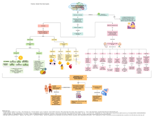 Guía de aplicación del MNA - tan como Guía para rellenar el formulario ...