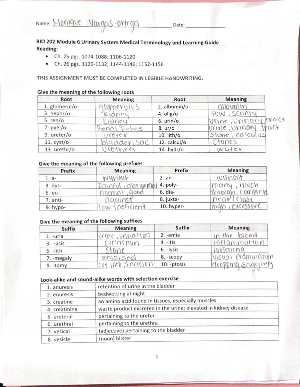 BIO 202 Module 6 Learning Guide: Urinary System Terminology - Studocu
