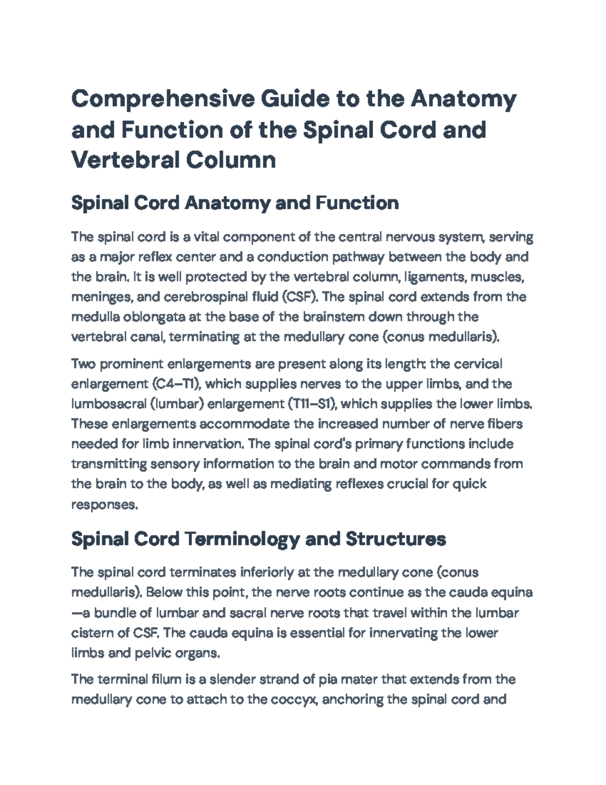 Comprehensive Overview of Spinal Cord and Vertebral Column Anatomy ...