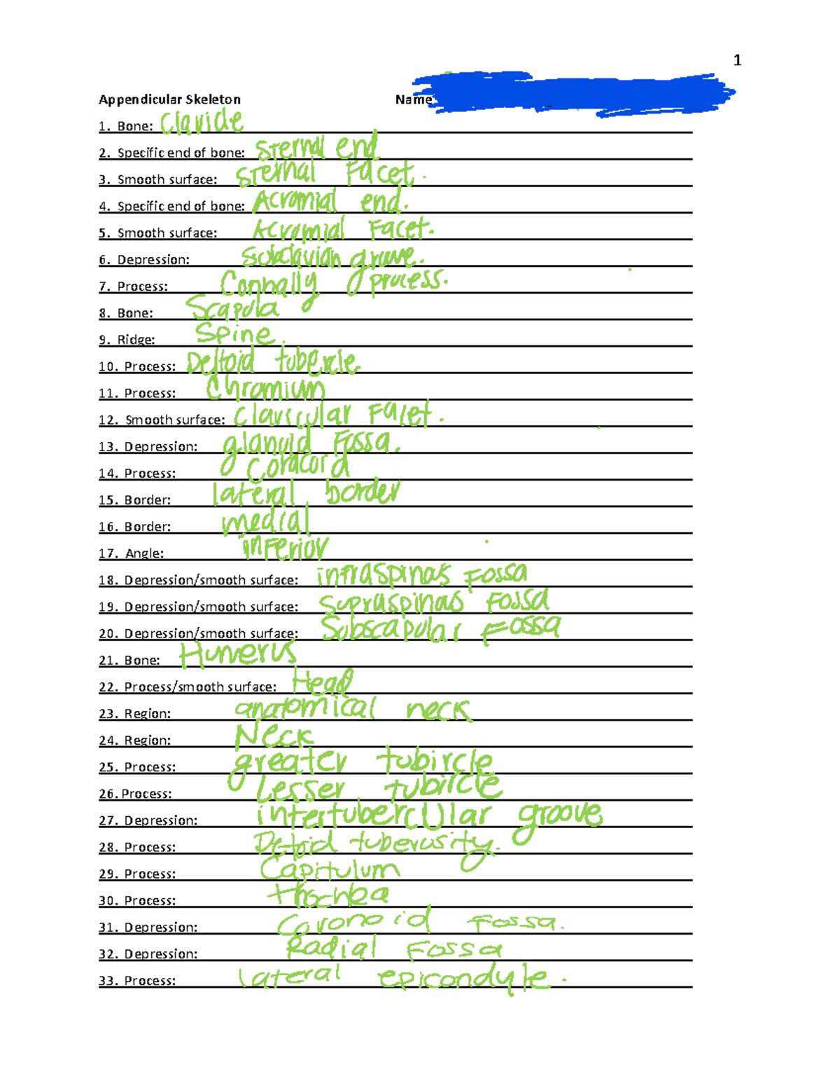 04 Appendicular Skeleton Articulations Worksheet - Appendicular ...