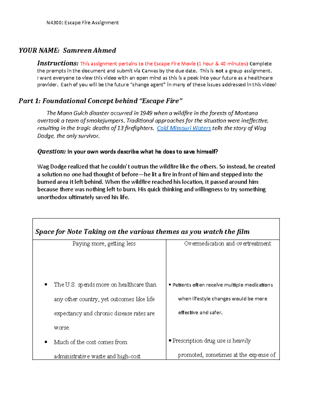 N4300: Escape Fire Assignment Reflection and Analysis for Future Nurses ...