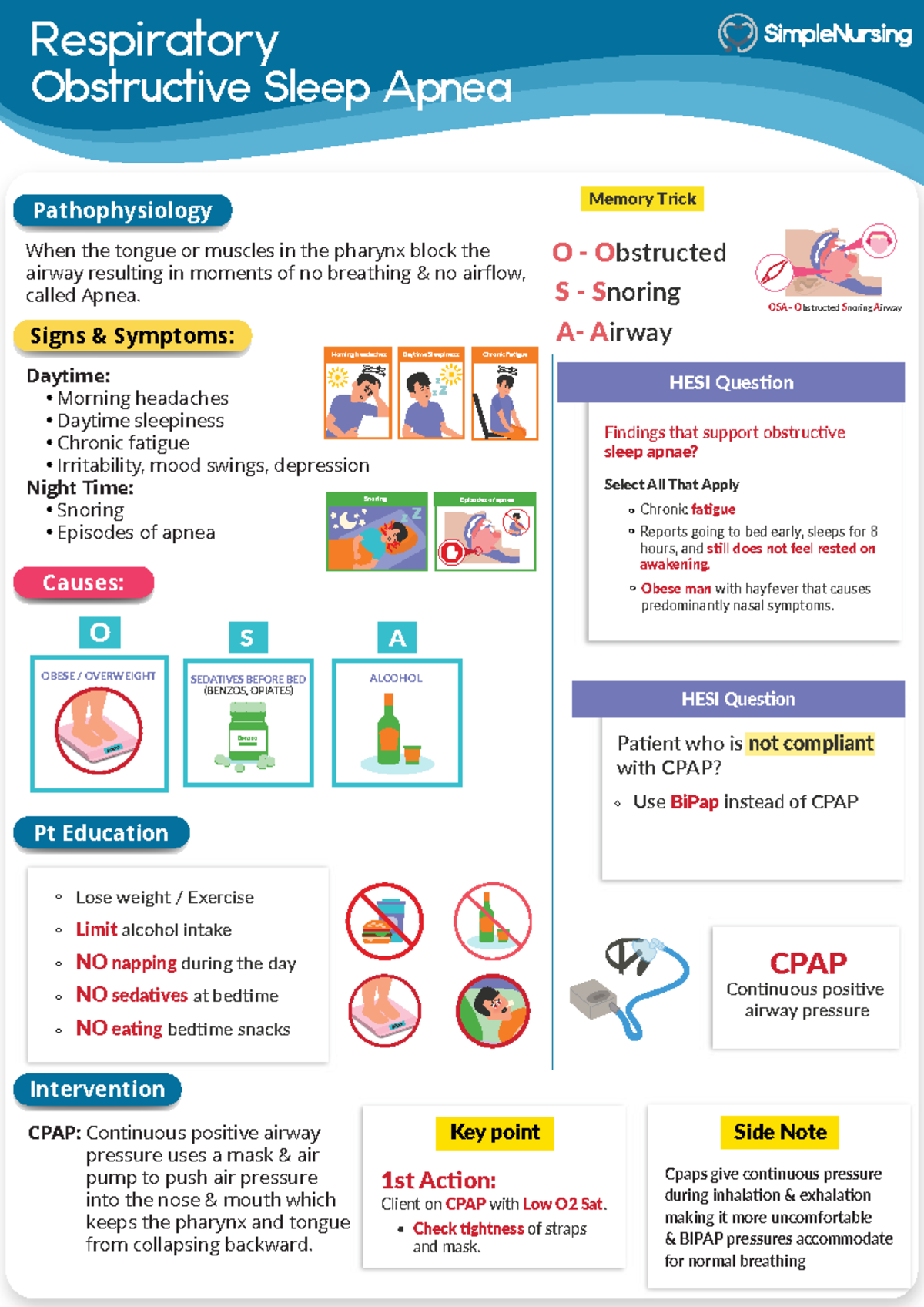 Obstructive Sleep Apnea: Pathophysiology and Interventions Summary ...
