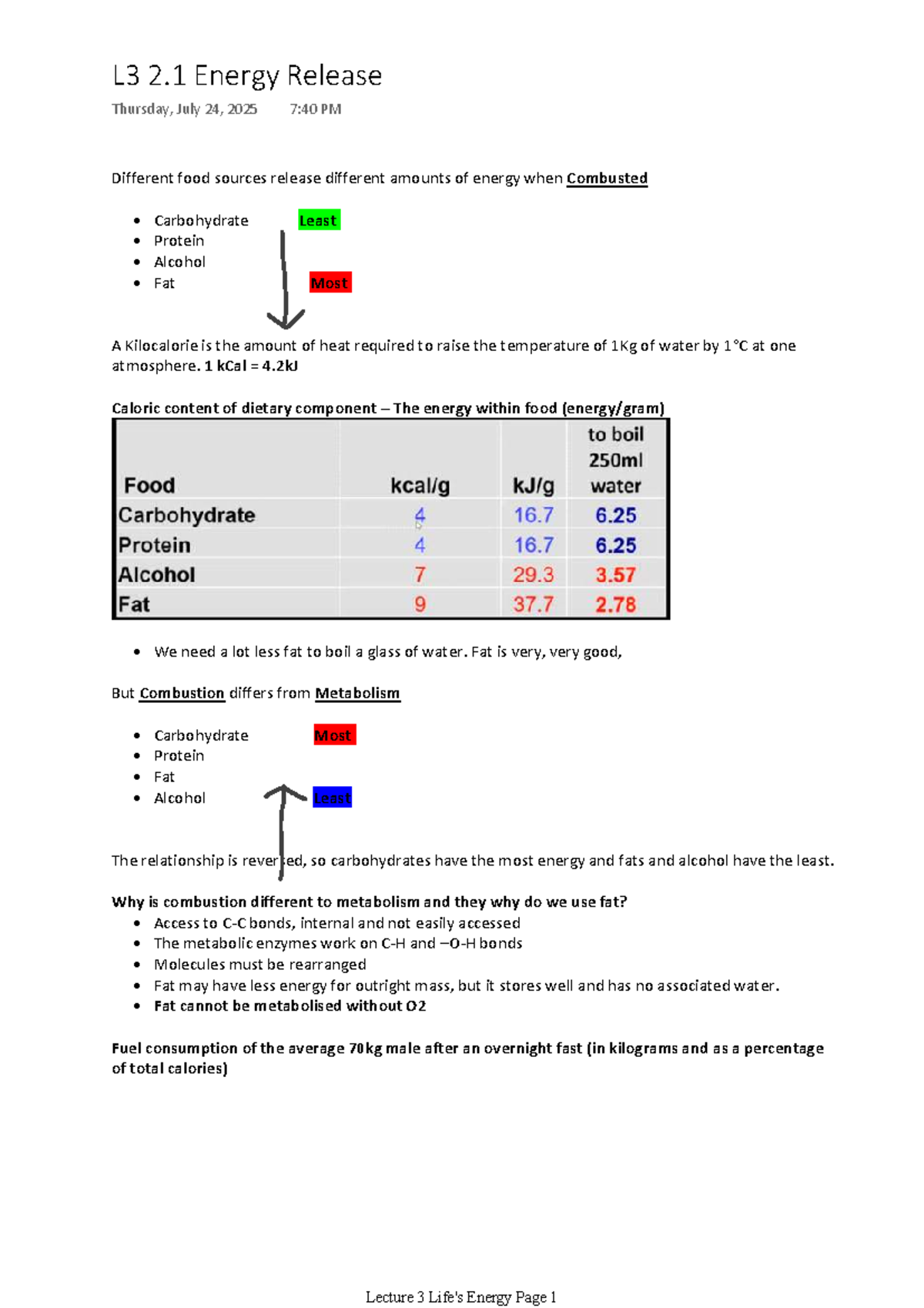 L3 Lecture 3: Understanding Energy Release and ATP Dynamics - Studocu
