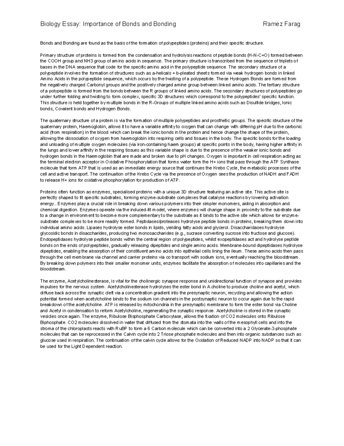 Biology Essay: Bonds and Bonding in Protein Structure and Function ...