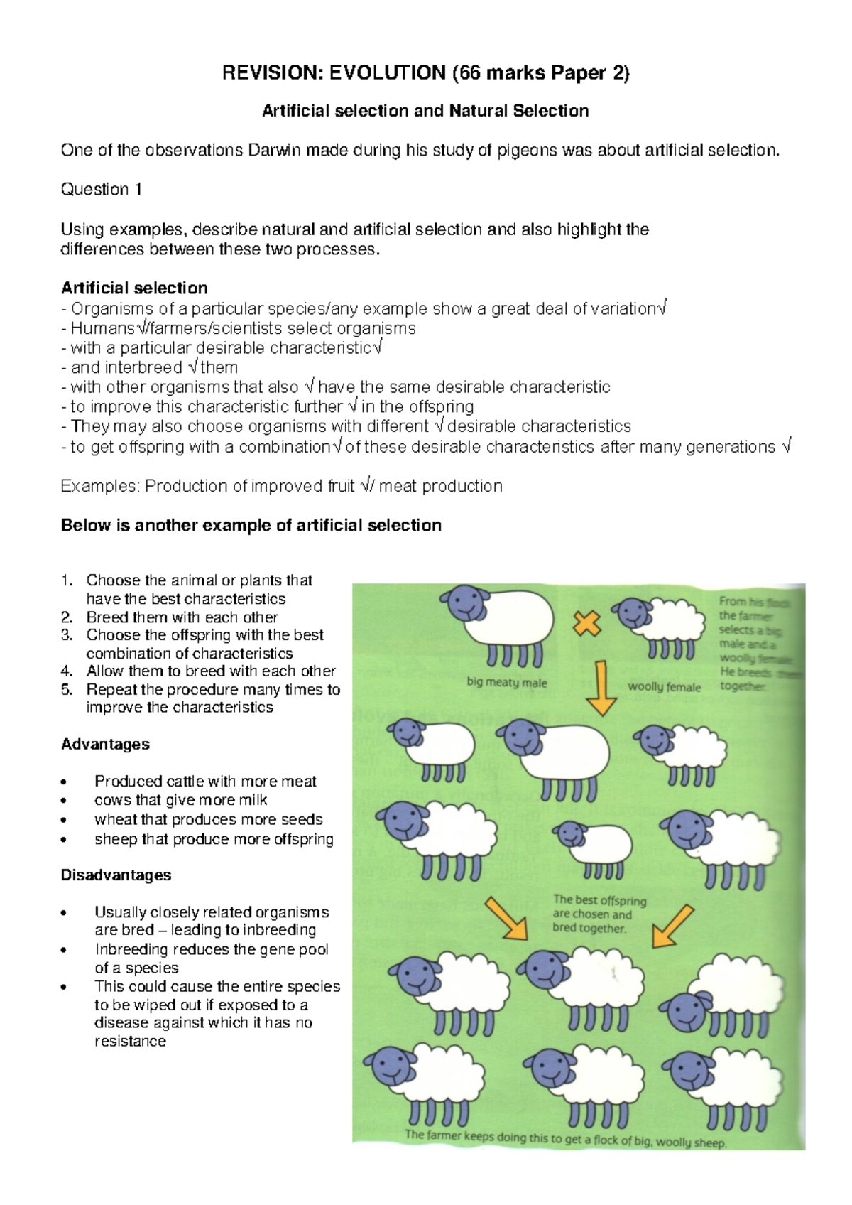 Summary of Evolution: Natural & Artificial Selection Insights (Revision ...