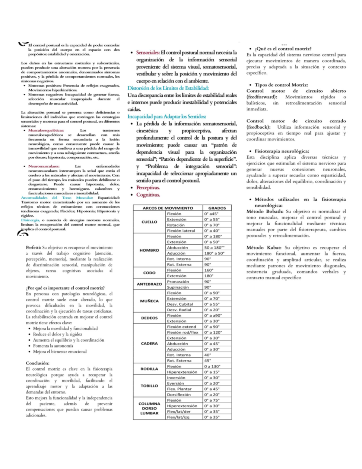 Control Motor y Postural en Fisioterapia Neurológica: Conceptos Clave ...