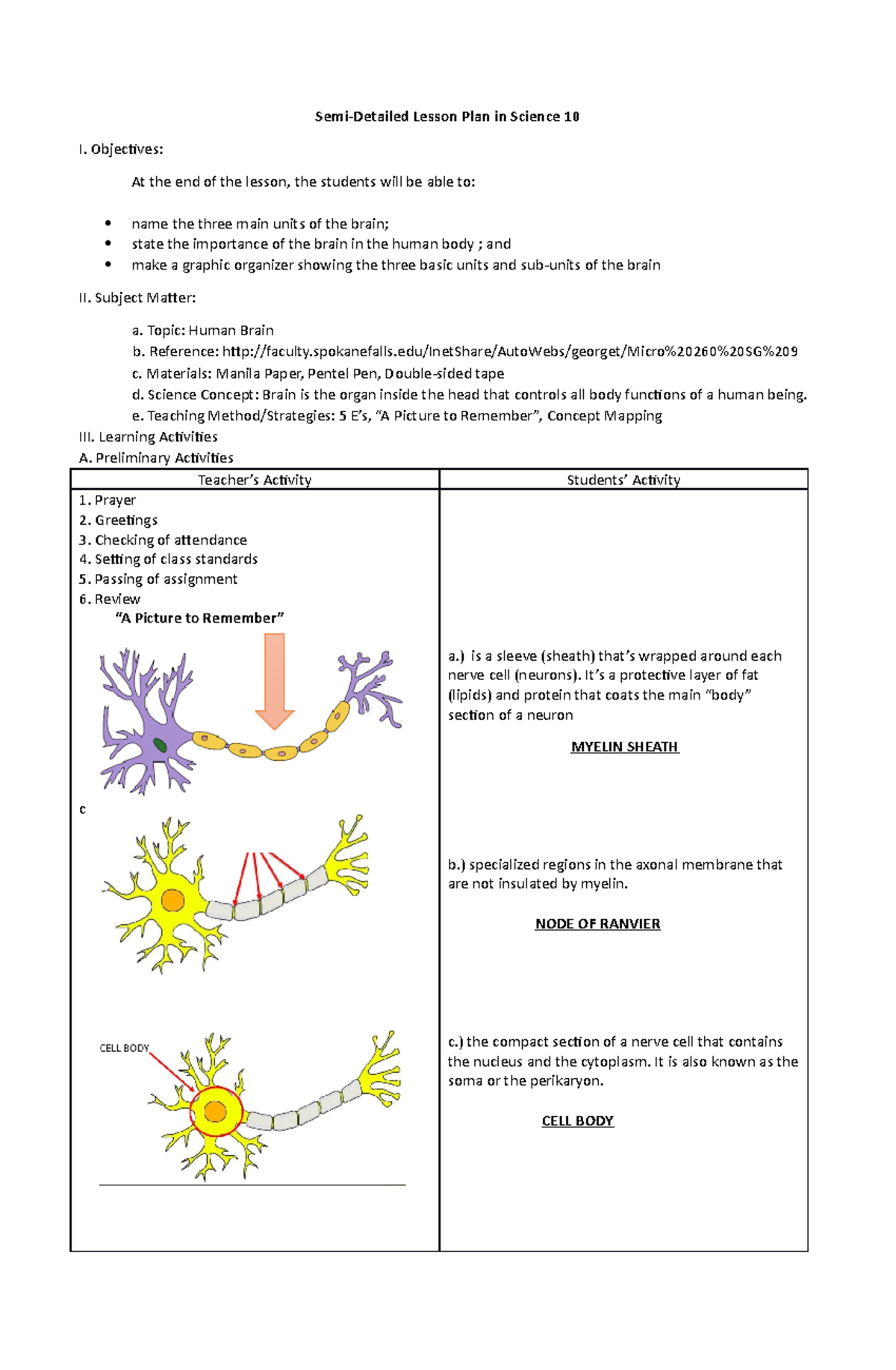 Semi-Detailed Lesson Plan: Science 10 - The Human Brain - Studocu