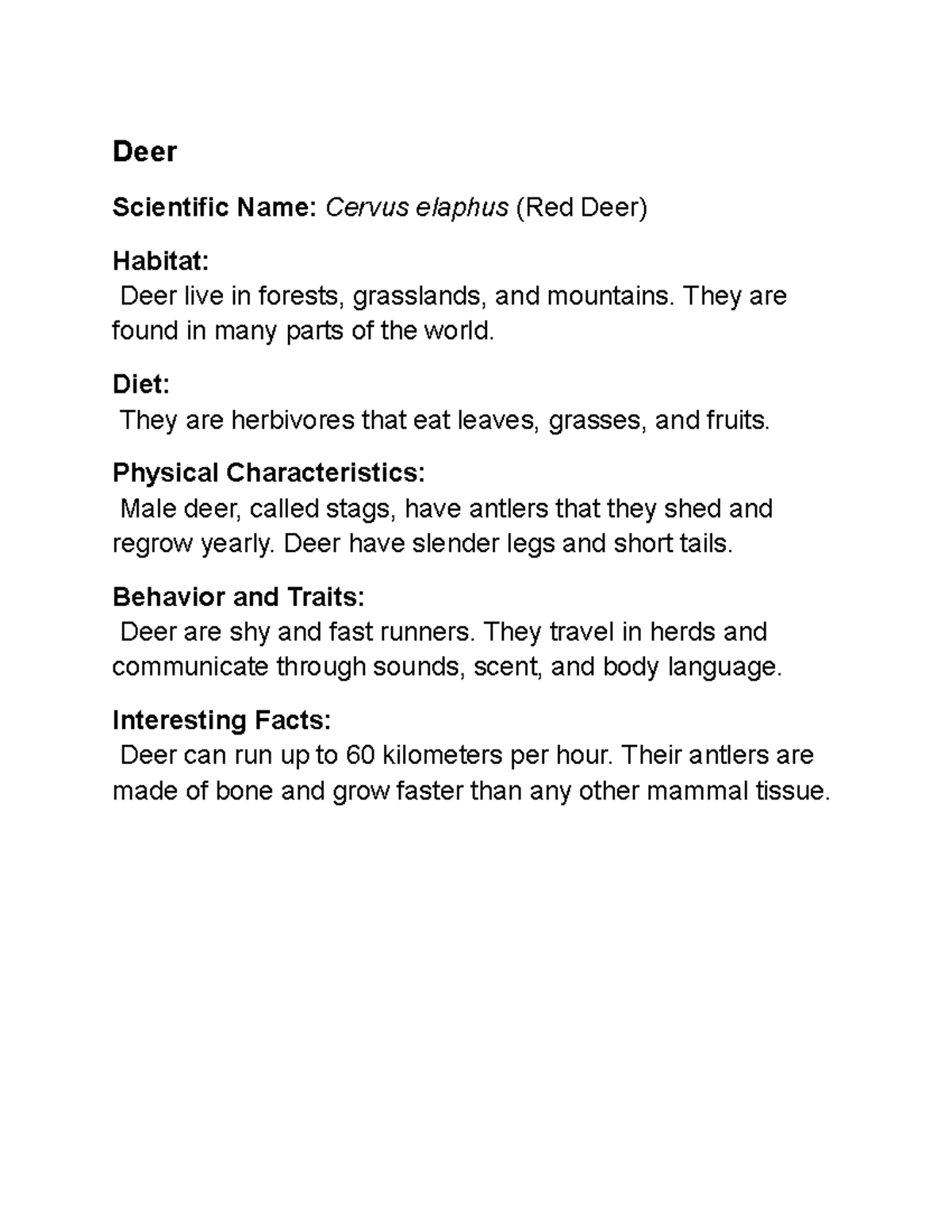 Deer - veterinary - Deer Scientific Name: Cervus elaphus (Red Deer ...