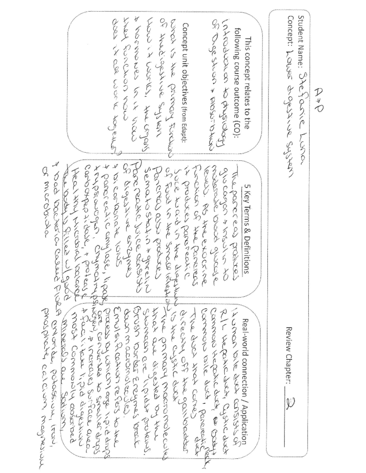 AP Redemption Unit 1: Review of Lower Digestive System Concepts - Studocu