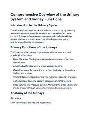 Understanding the Nephron Loop & Countercurrent Multiplier in Kidney ...