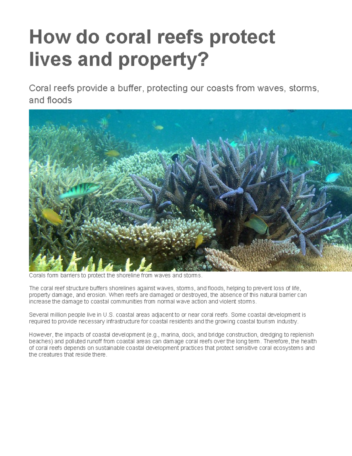 Coral Reef Protection: Impact on Lives & Property - Studocu