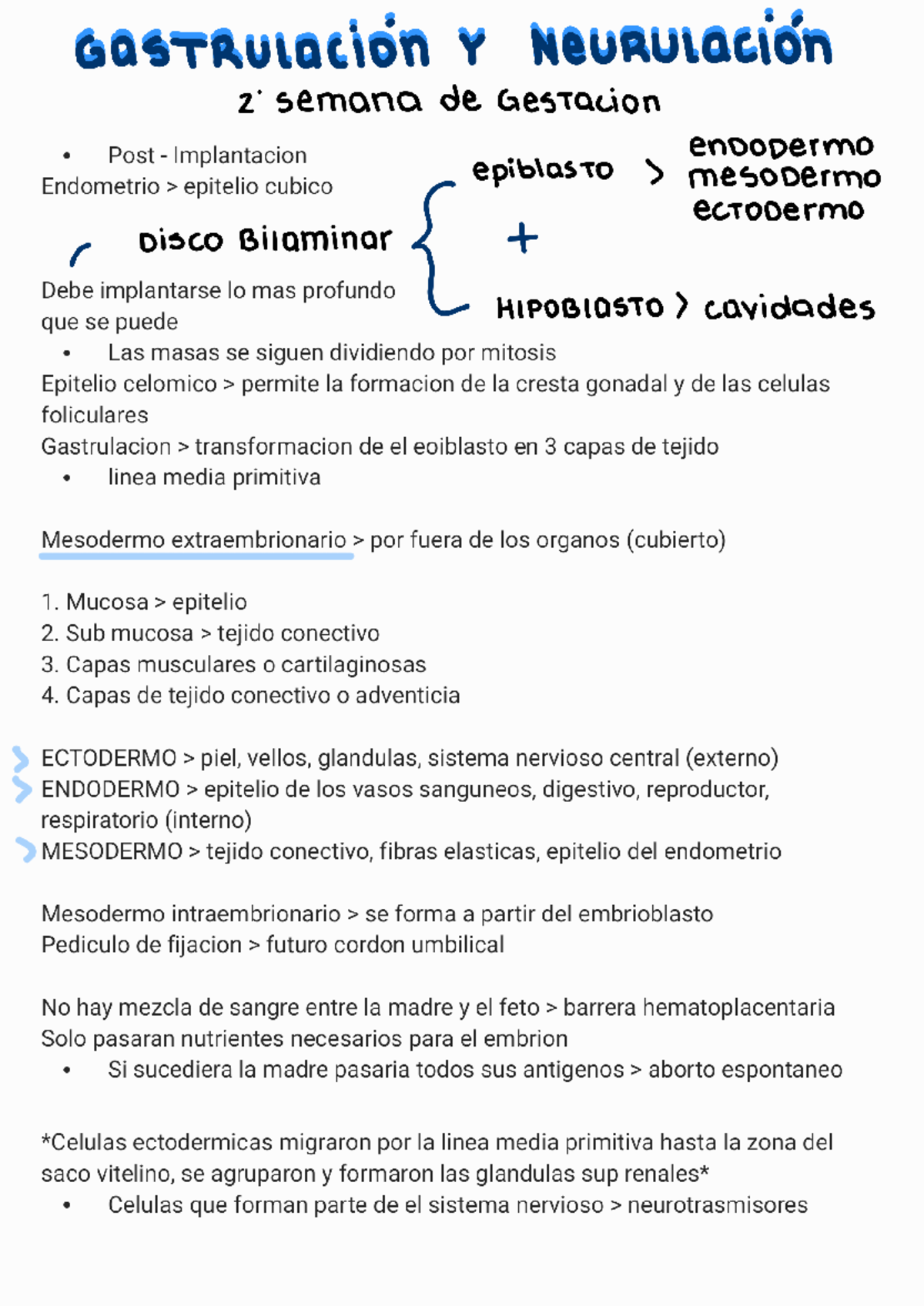 U3 250607 001822 - Gastrulación y Neurulación en el Desarrollo ...