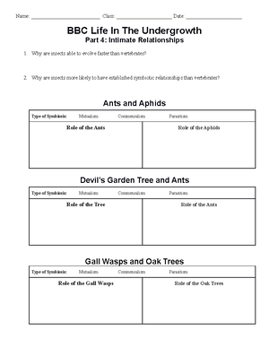Planet Earth Caves Worksheet - Planet Earth – Caves Based on the BBC ...