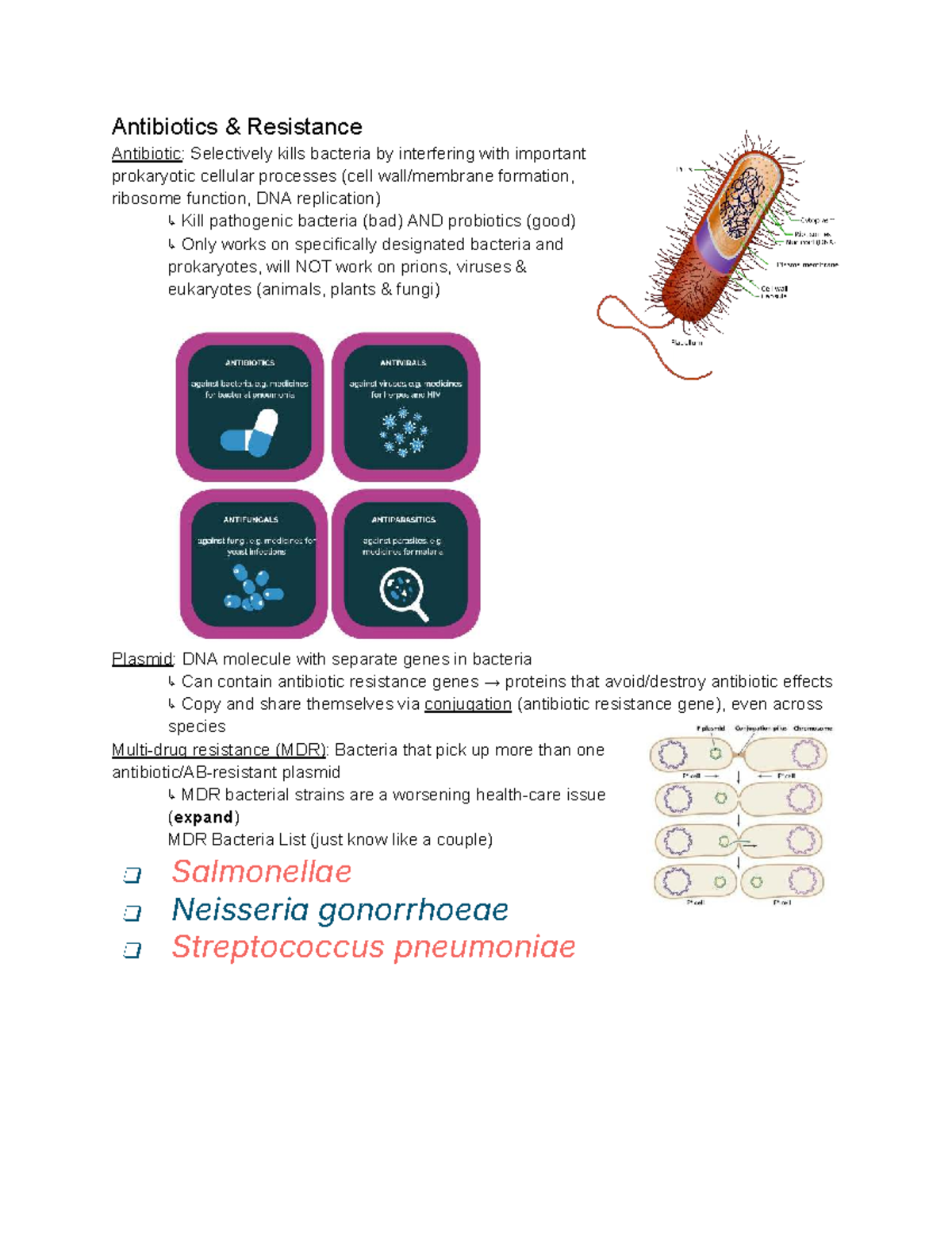 Physiology II Biology IB1 Test Study: Antibiotic Resistance & Nervous ...