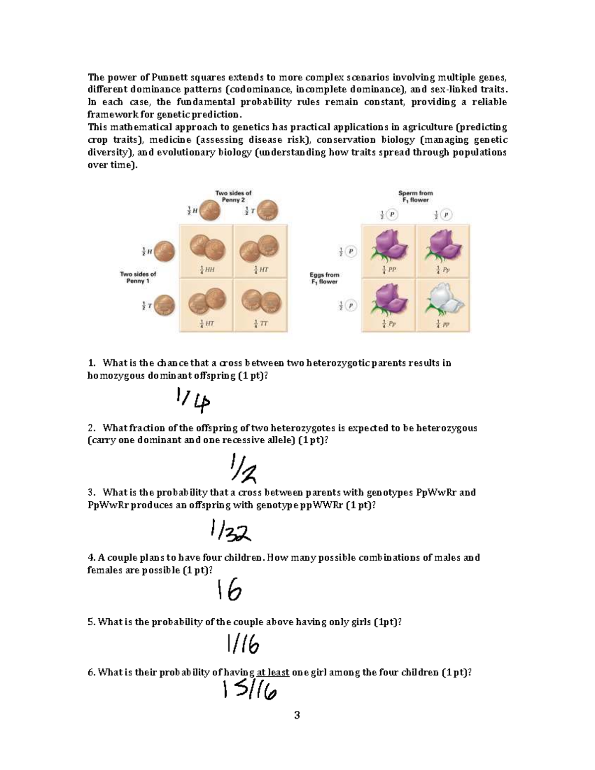 Bio Lab 3 - Genetics: Punnett Squares & Probability Analysis - Studocu