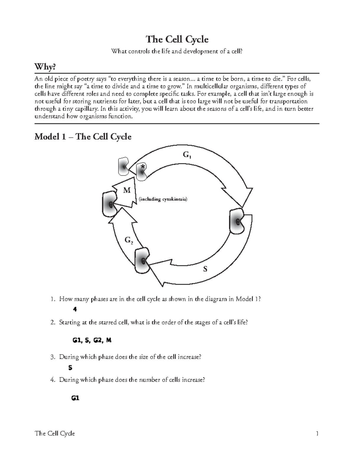 Cell Cycle POGIL Activity - High School Biology Exam Guide - Studocu