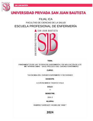 Etapas de la Enfermería: Informe sobre su Evolución Histórica - HECI I ...