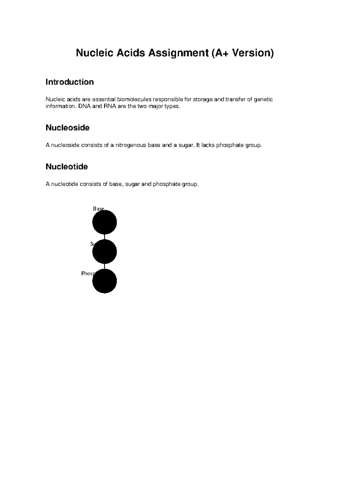 Nucleic Acids Assignment A+: Key Concepts and Structures - Studocu