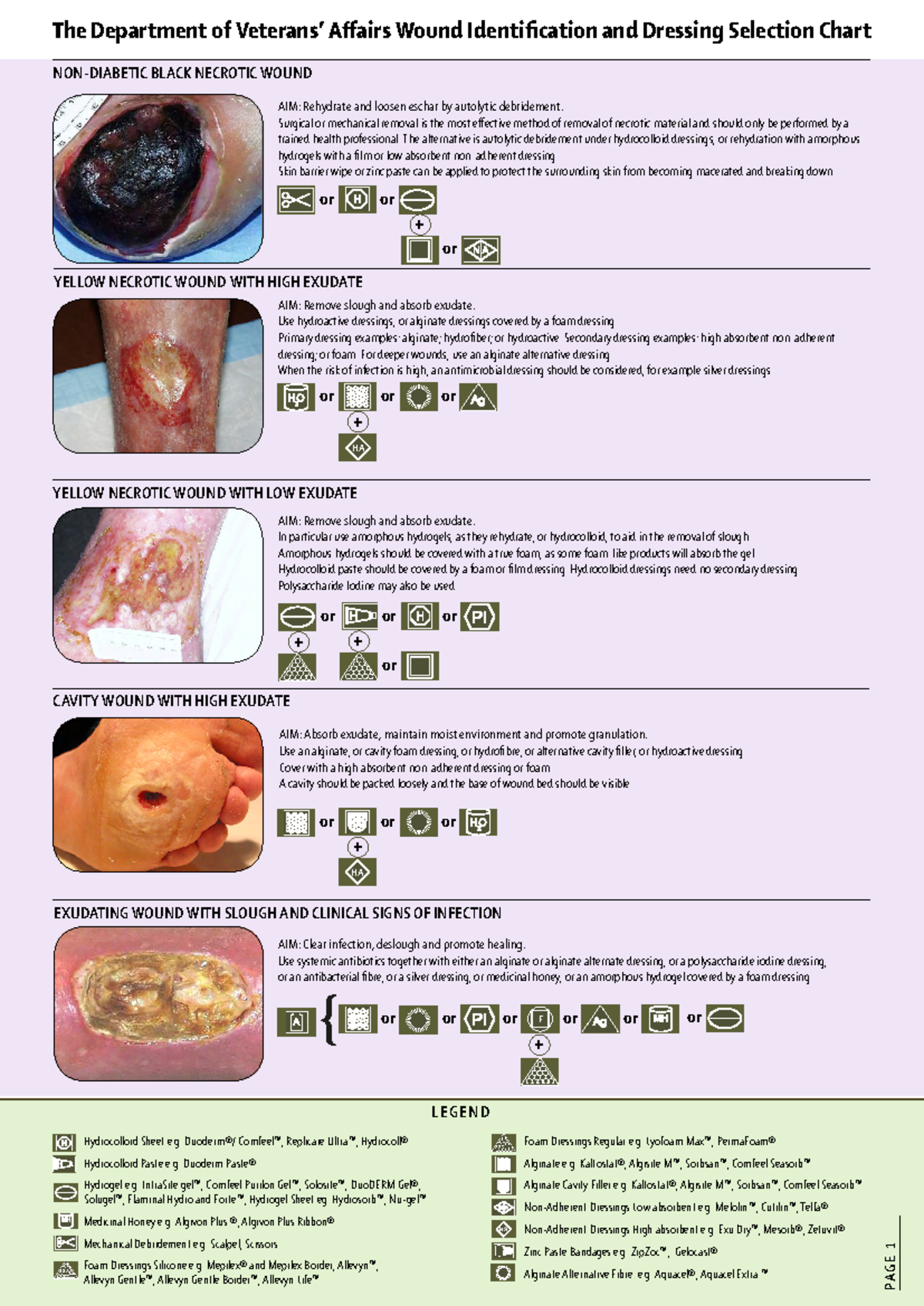 Woundchart - Wound chart - The Department of Veterans’ Affairs Wound ...