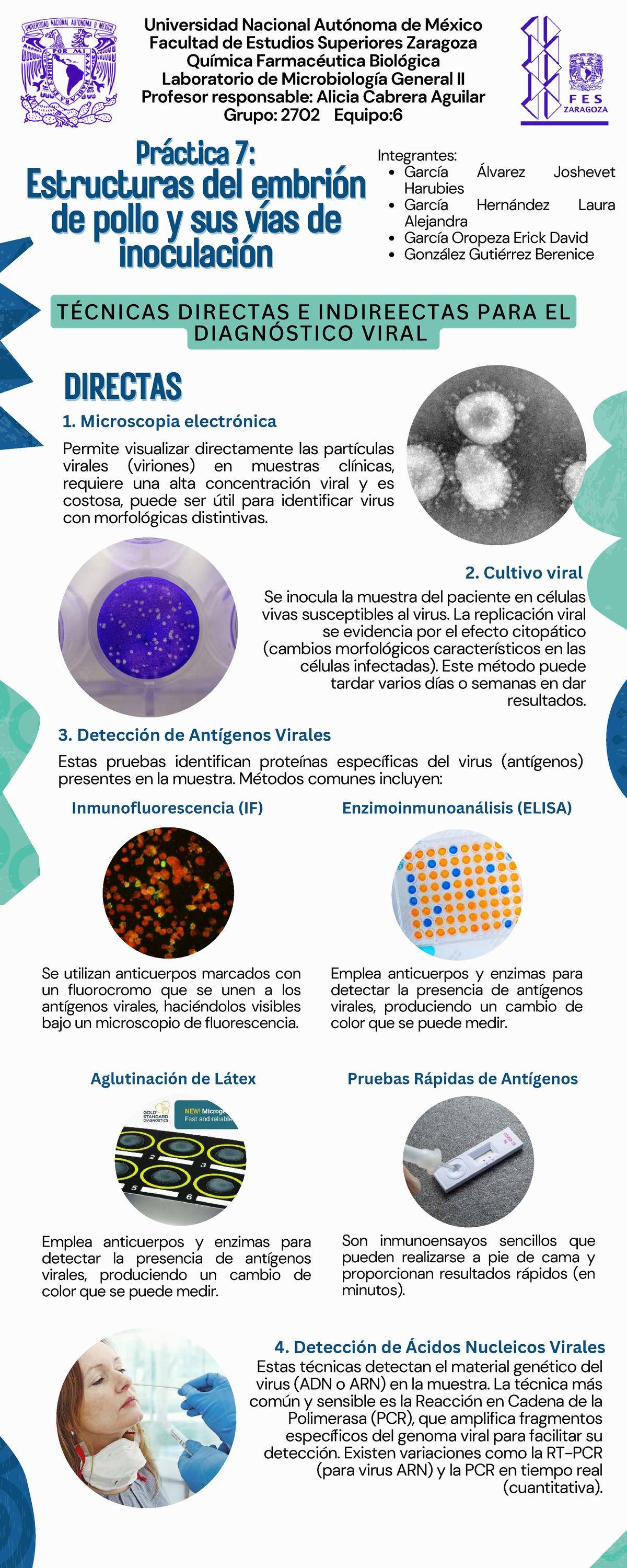 Práctica 7: Estructuras del Embrión de Pollo y Vías de Inoculación ...