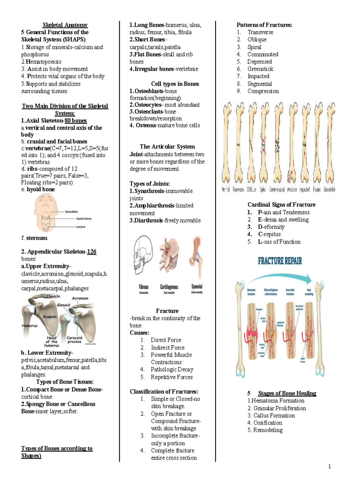 Traction Notes 4 (A4) - Overview of Skeletal System Functions and ...
