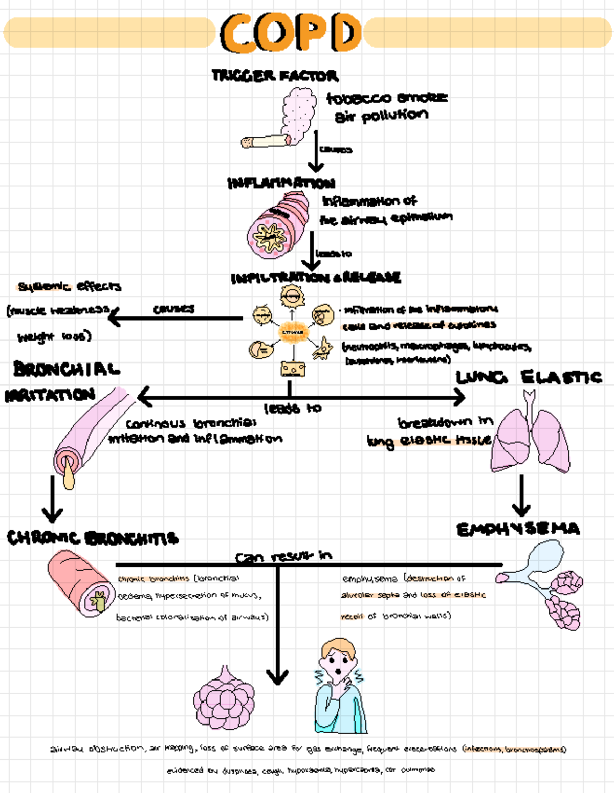 COPD - Exam notes - flow chart of the pathophysiology of COPD - CO4P ID ...