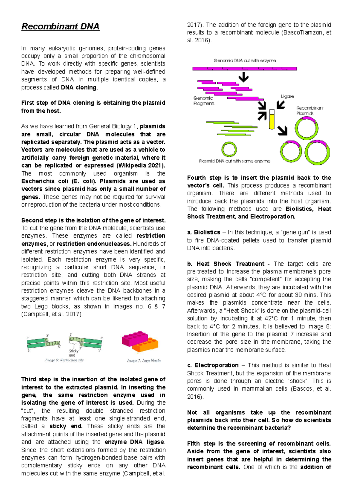Recombinant DNA Technology: A Comprehensive Overview (BIO 101) - Studocu
