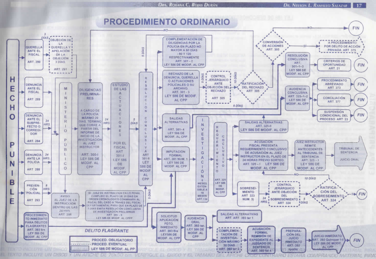 Flujograma Procesal Penal en Bolivia - DRA. ROXANA C. ROJAS DURAN - Studocu
