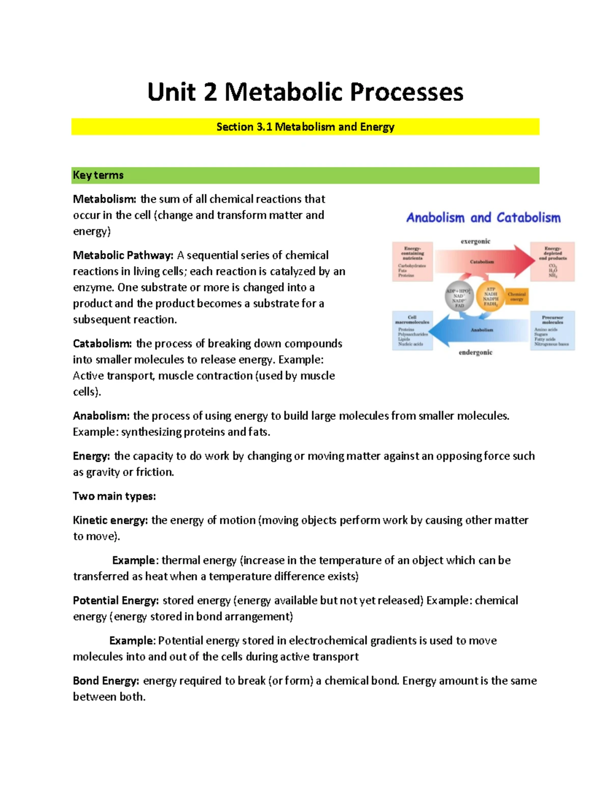 Section 3.1 Metabolism and Energy - Unit 2 Metabolic Processes Section ...