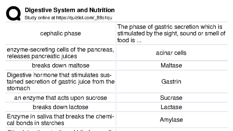 Digestive System & Nutrition Study Flash Cards (BIO 101) - Studocu