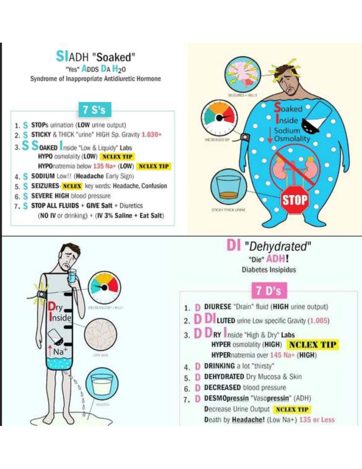 SIADH & DI: Key Points for NCLEX on H2O Regulation & Electrolytes - Studocu