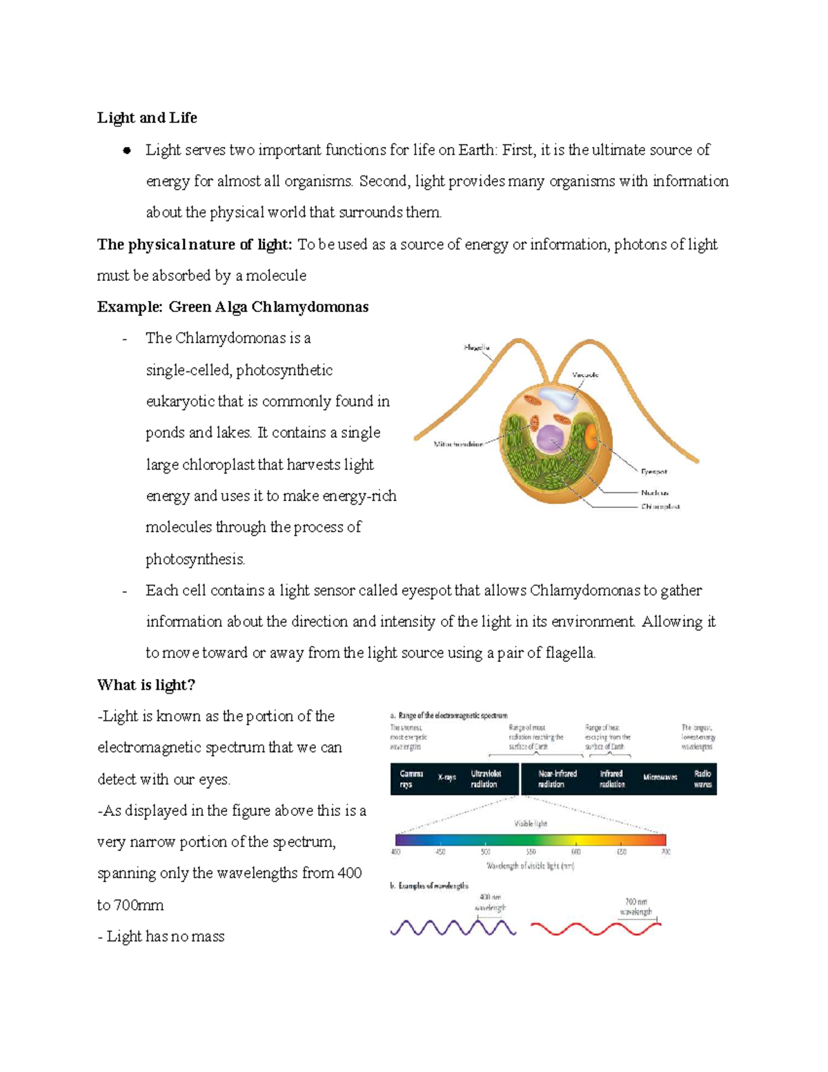 Chapter 1: Light and Life - The Role of Light in Organisms (BIO) - Studocu