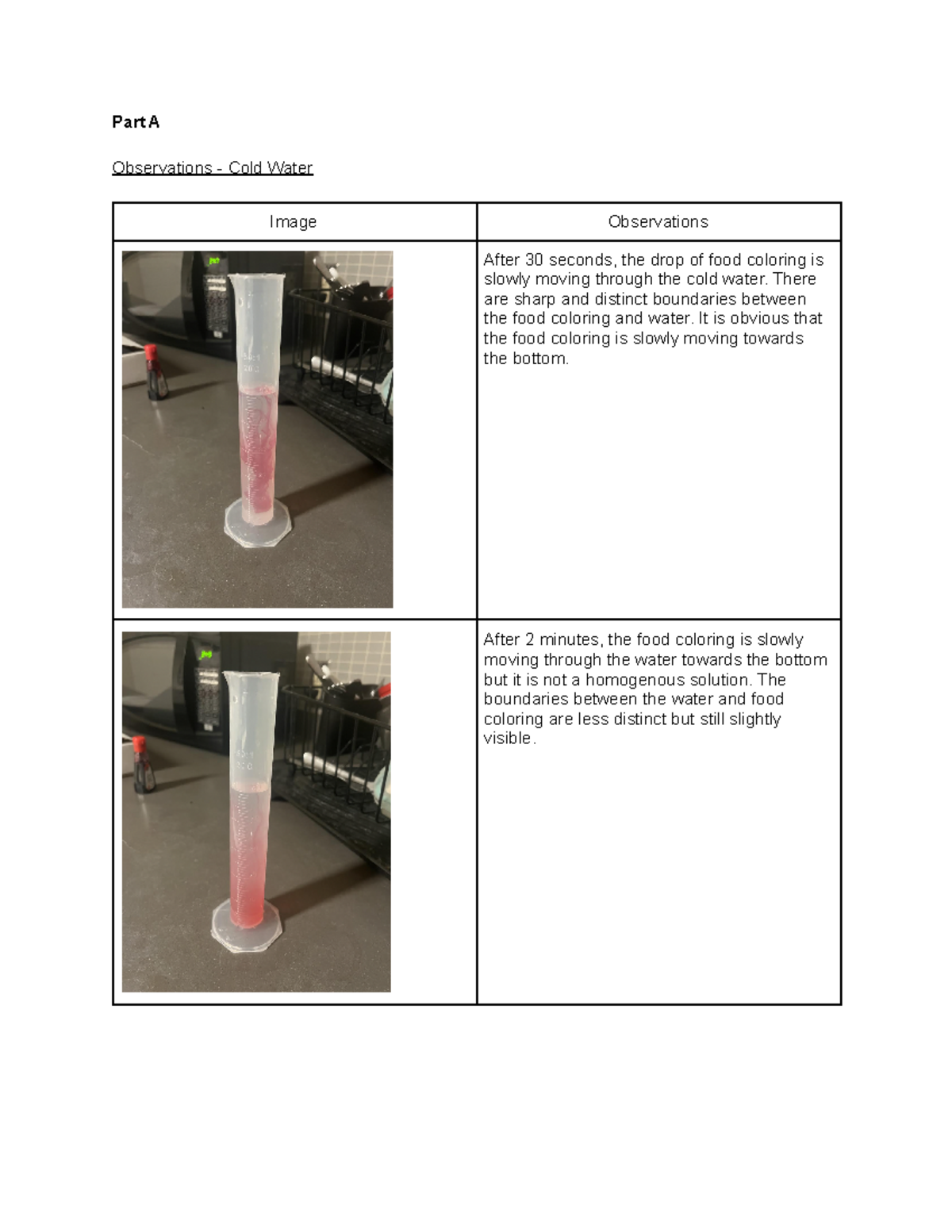 Lab 5 Diffusion - lab - Part A Observations - Cold Water Image Observations After 30 seconds ...