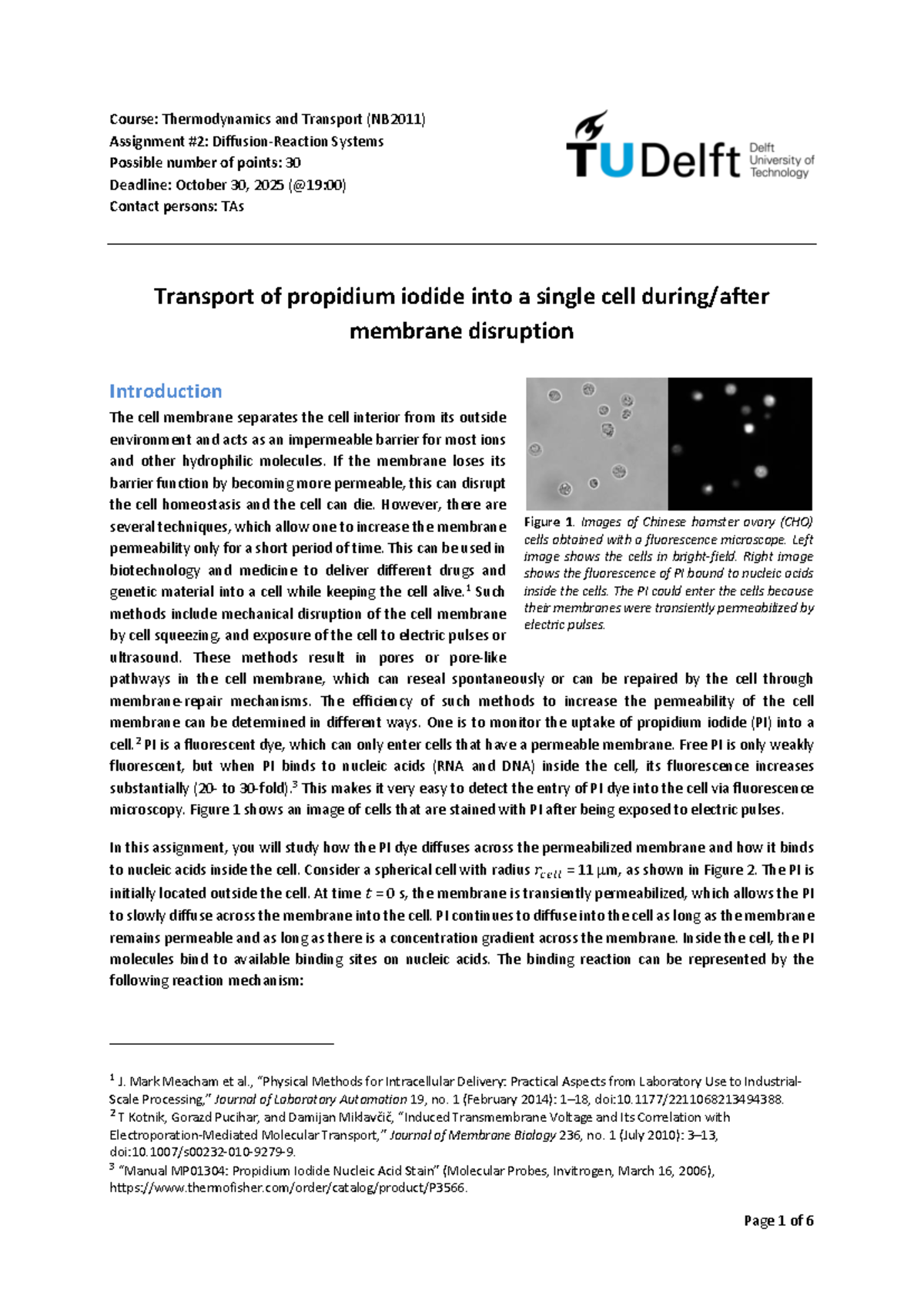 Thermodynamics and Transport (NB2011) Assignment 2: PI Diffusion Study - Studeersnel