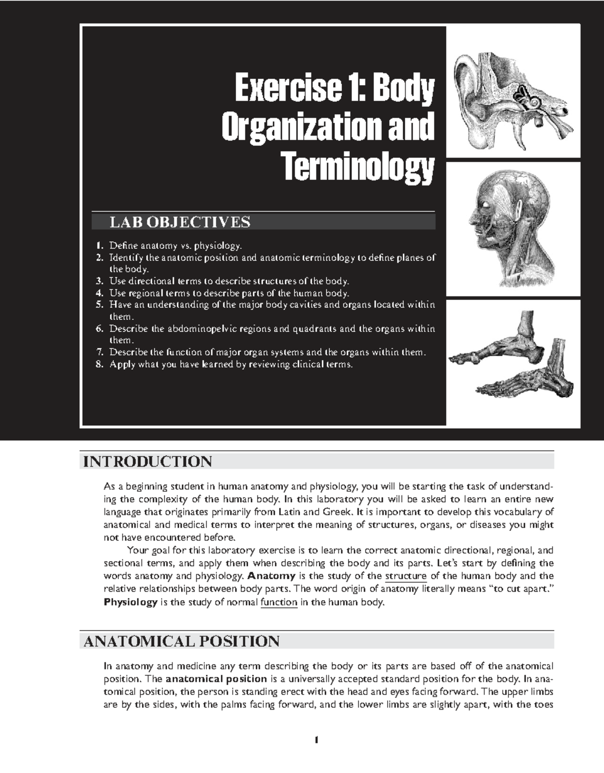 Human Anatomy & Physiology I: Exercise 1 - Body Organization ...