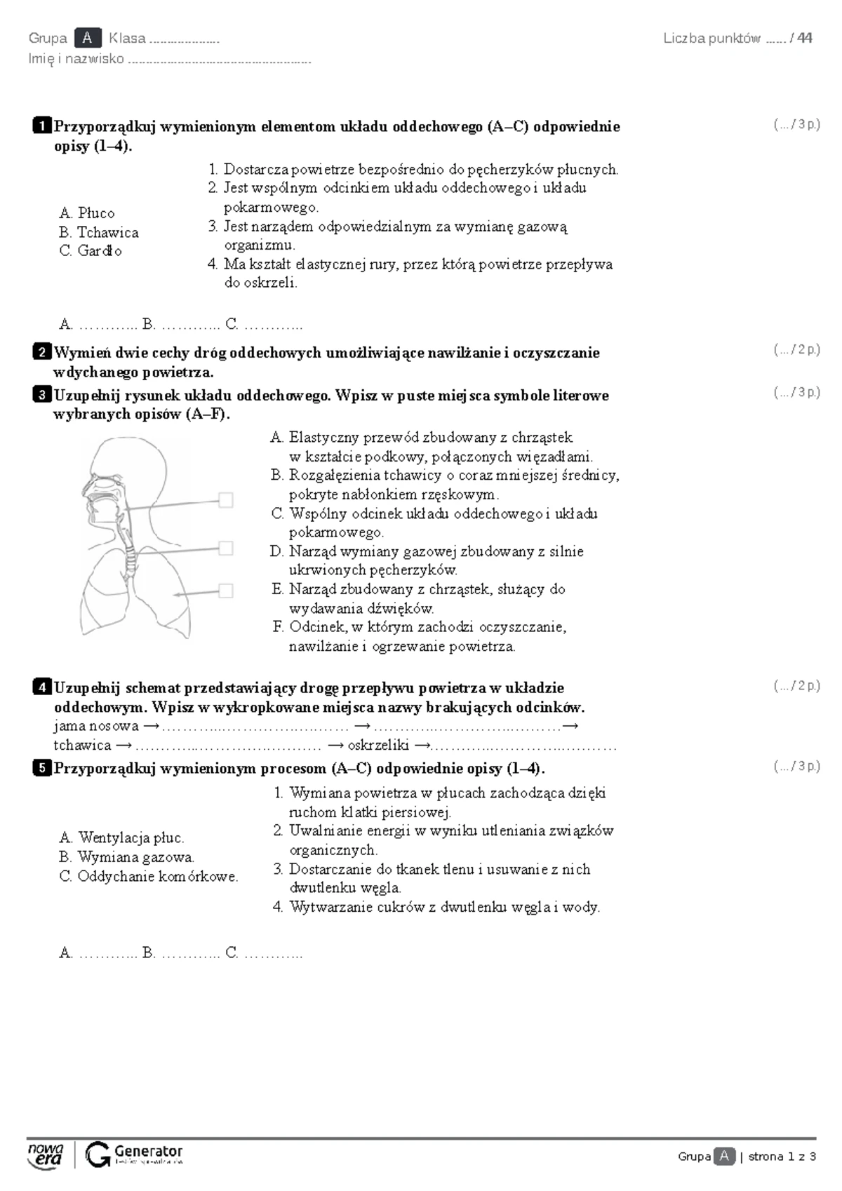 Kartkówka: Budowa i Rola Szkieletu Osiowego - Analiza Czaszki - Studocu