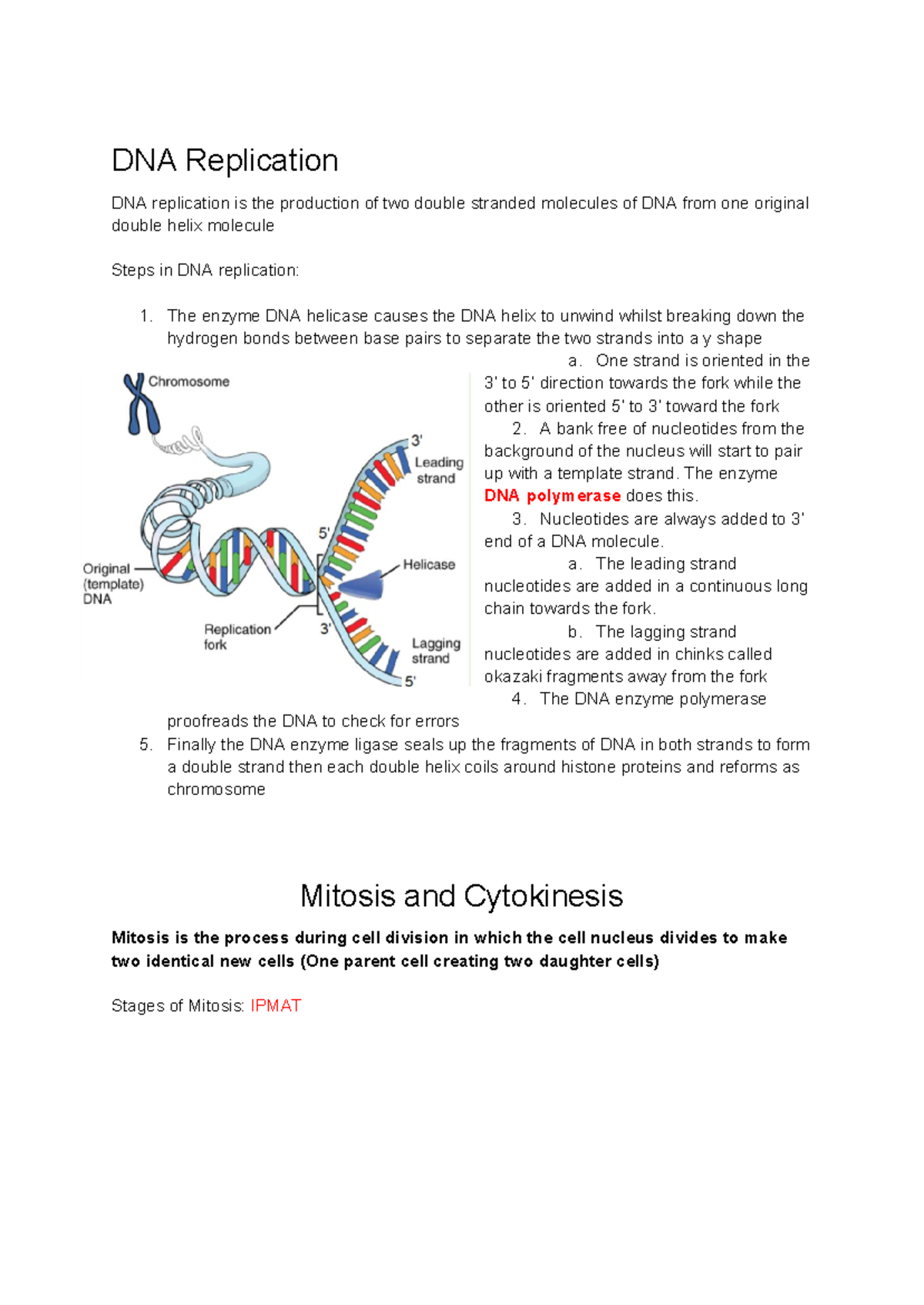 HSC Biology Notes: DNA Replication, Mitosis, and Genetics - Studocu