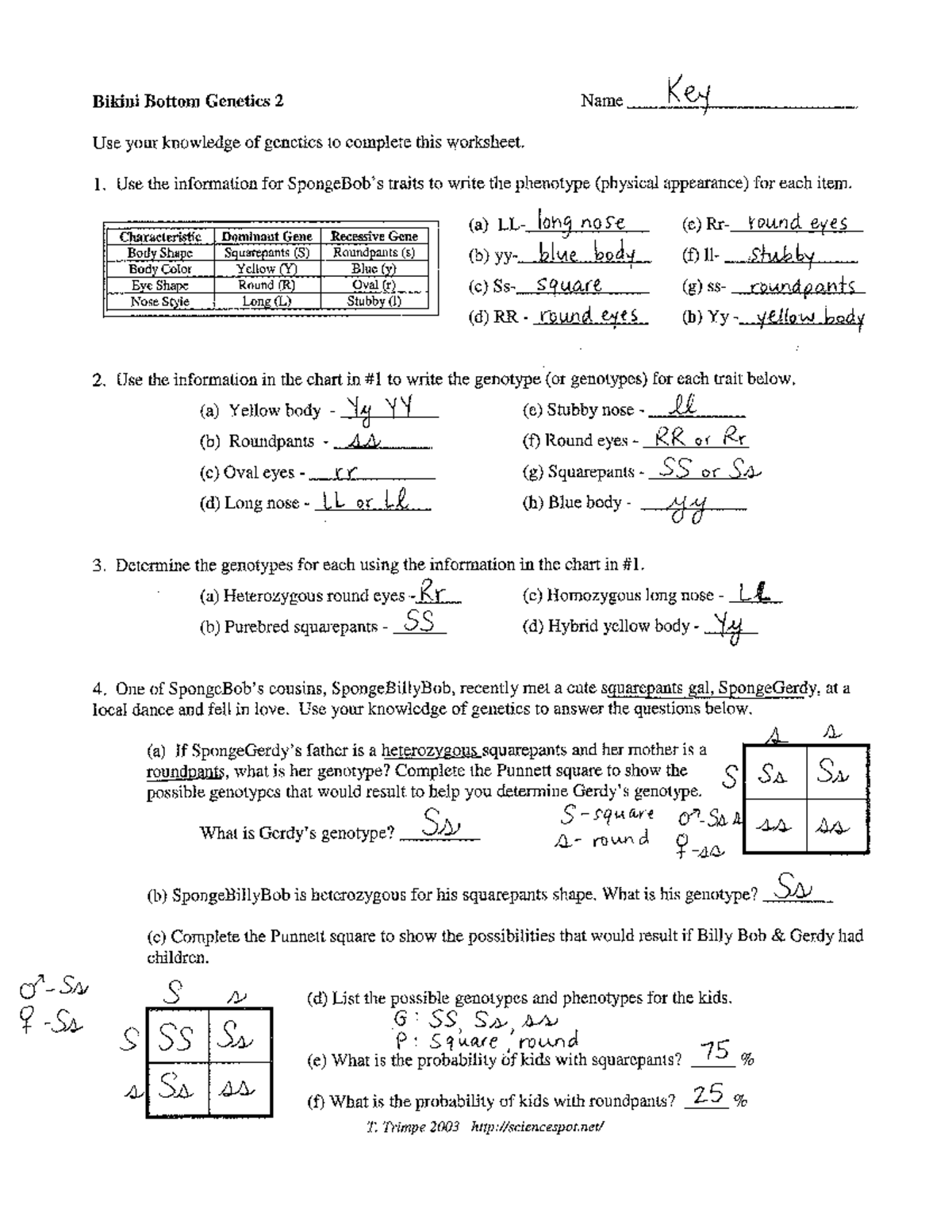 Bikini Bottom Genetics Worksheet