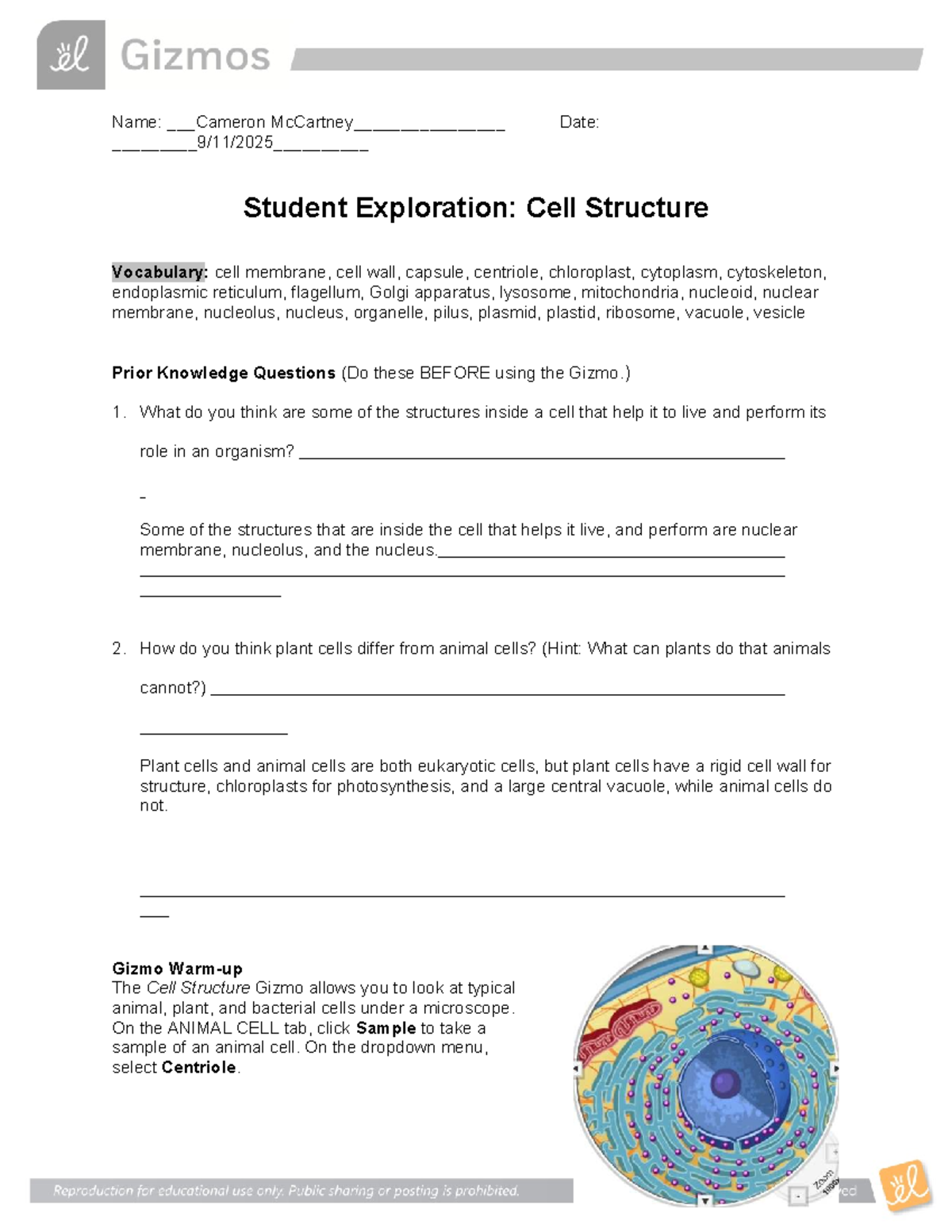 Cell Structure SE: Vocabulary & Activities for Understanding Cells ...